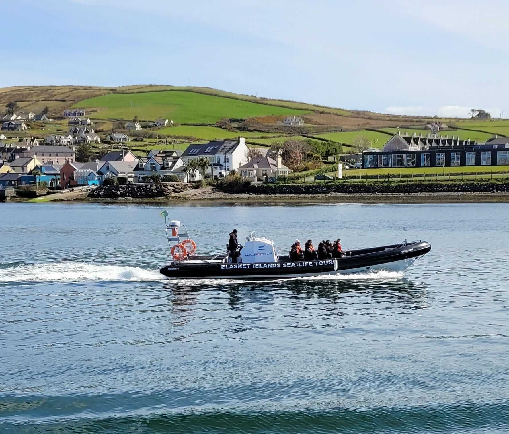 Dingle Rib Boat Tours | Family-Run Sea Life Adventures