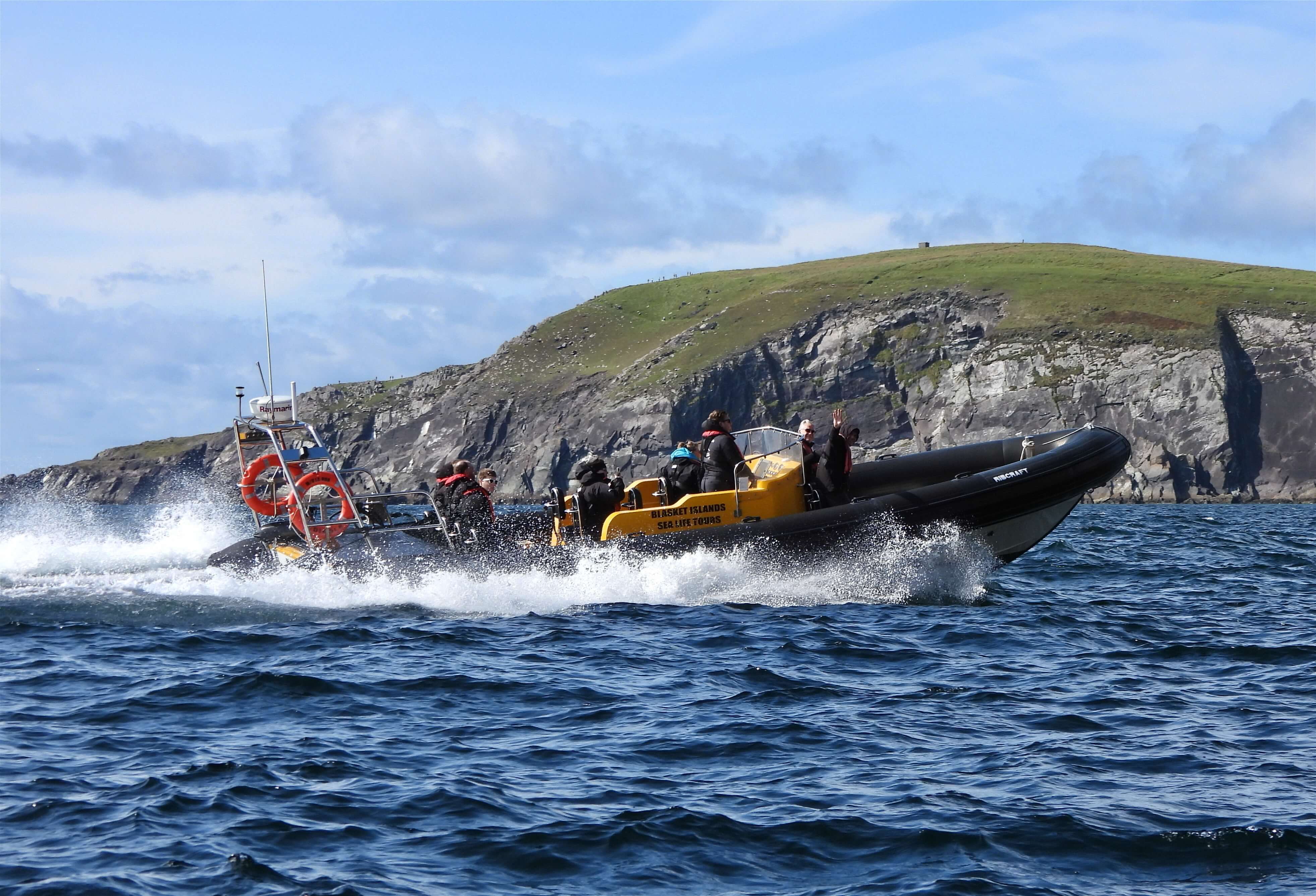 Discover Marine Wonders on Dingle's Sea Life Boat Tour to Blasket Islands