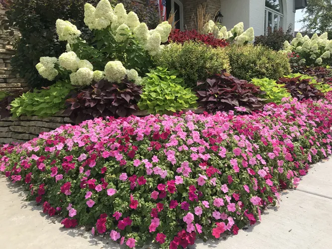 Landscape Design Services in Lockport, IL | goMulch