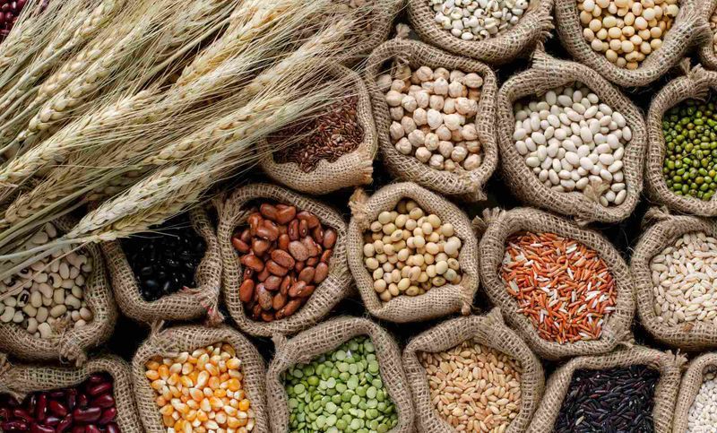 AgriCheck Plus Grain & Flour Analyzer | KPM Analytics