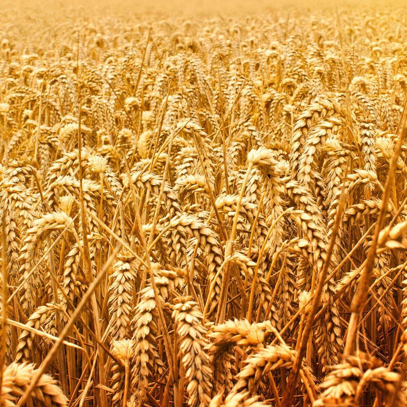 Unity® Scientific | KPM Analytics