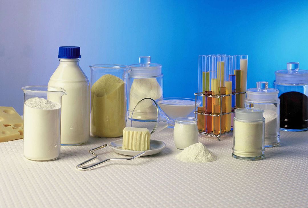 Analysis of Processed Dairy Products | KPM Analytics