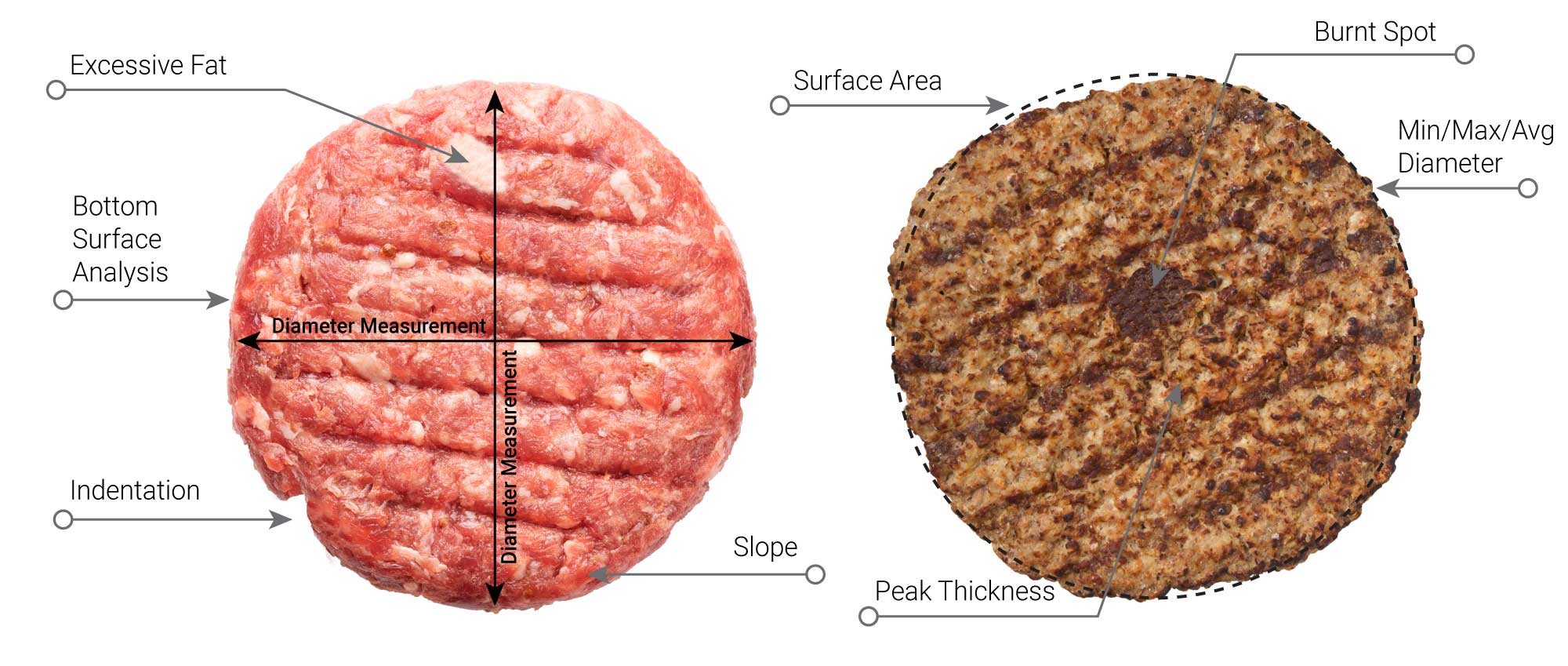 Meat Patties & Ground Meat | KPM Analytics