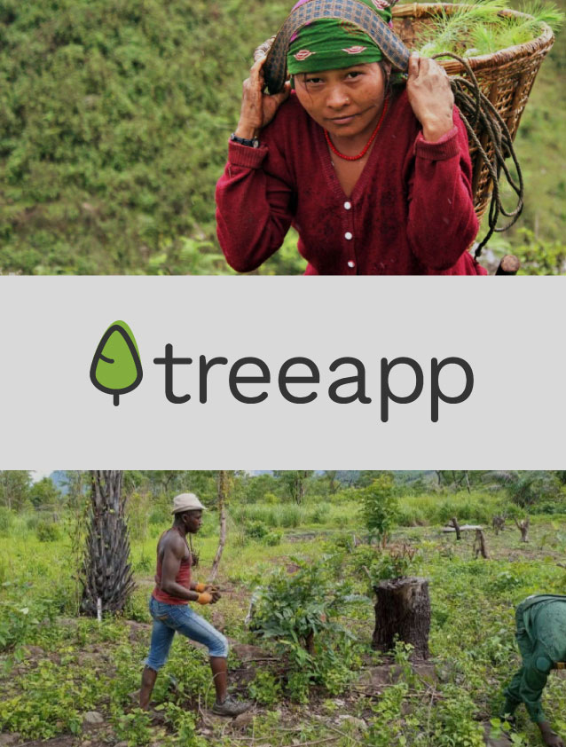 Lanman Solar | East Anglia's Solar Panel & Battery Specialists