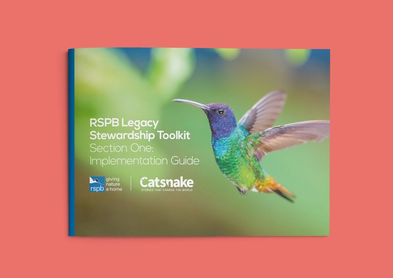 Our Work | Catsnake | The Story Agency