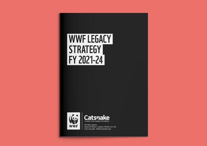 Our Work | Catsnake | The Story Agency