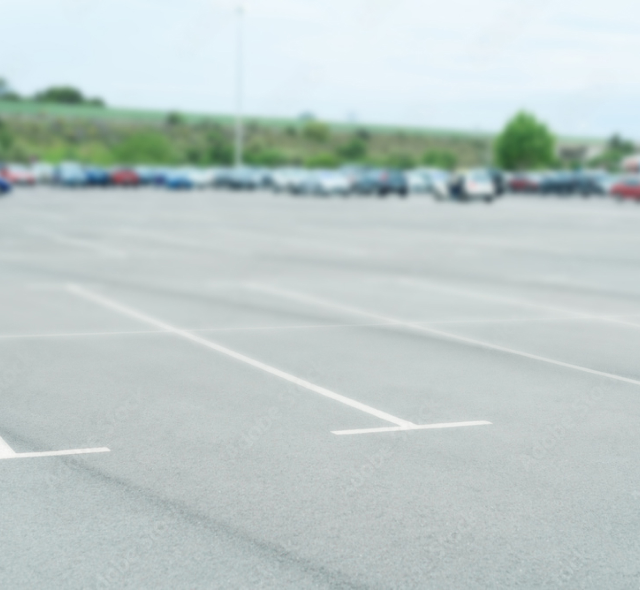 Online Car Auction | Auto Dealer Vehicle Auctions | ACV Auctions