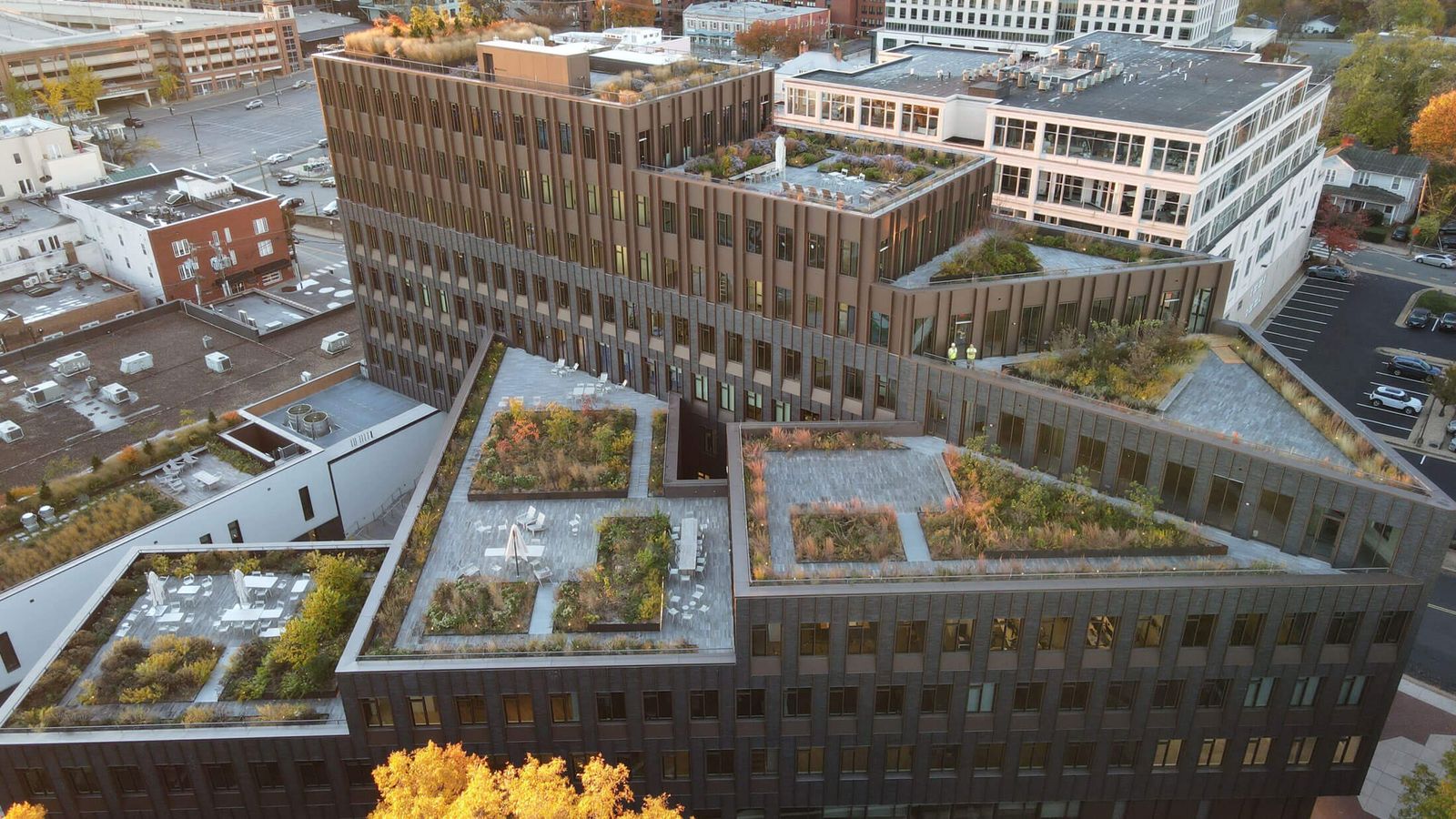 Construction | Green Roof Services :: Living Roofs Inc.