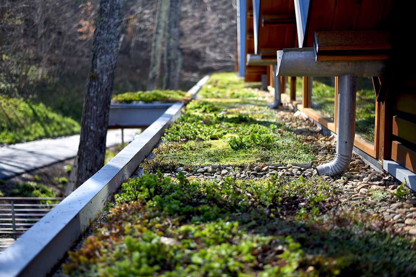 Construction | Green Roof Services :: Living Roofs Inc.
