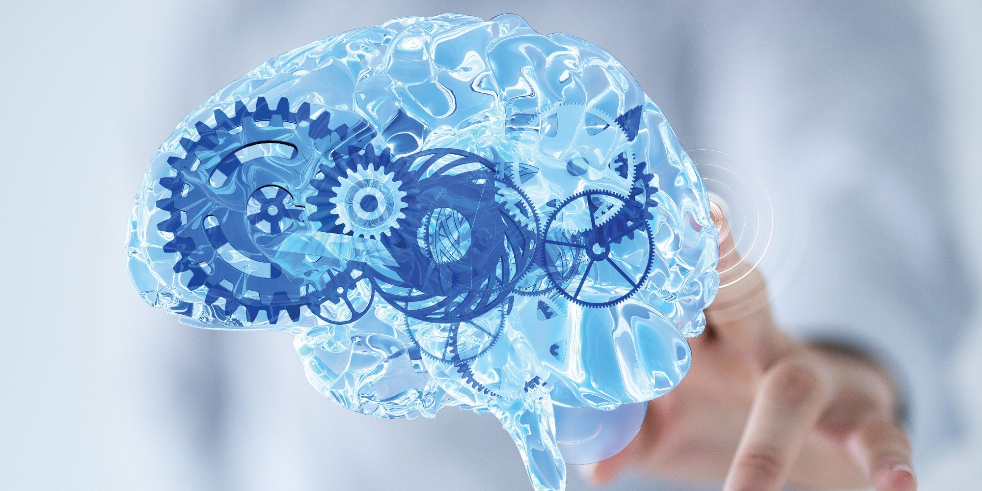 What Is Cellular Health: Tips For Improvement | Next Health