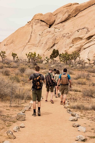 Intrepid Travel In-depth Review: Are their tours any good? [2022]