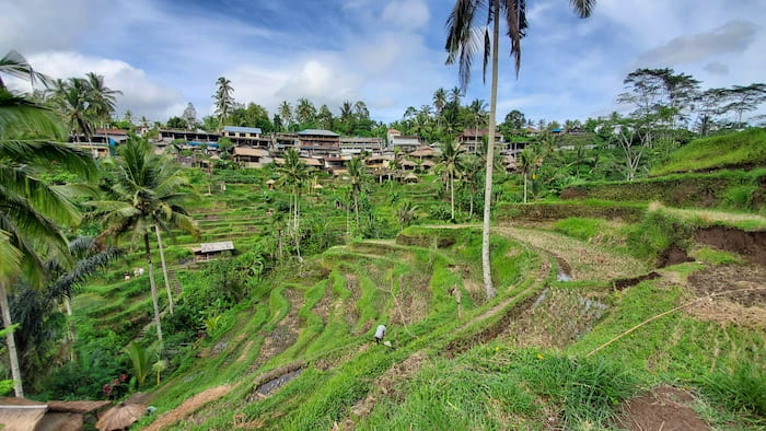 Is Bali Safe to Visit in 2024? Safety Tips To Know!