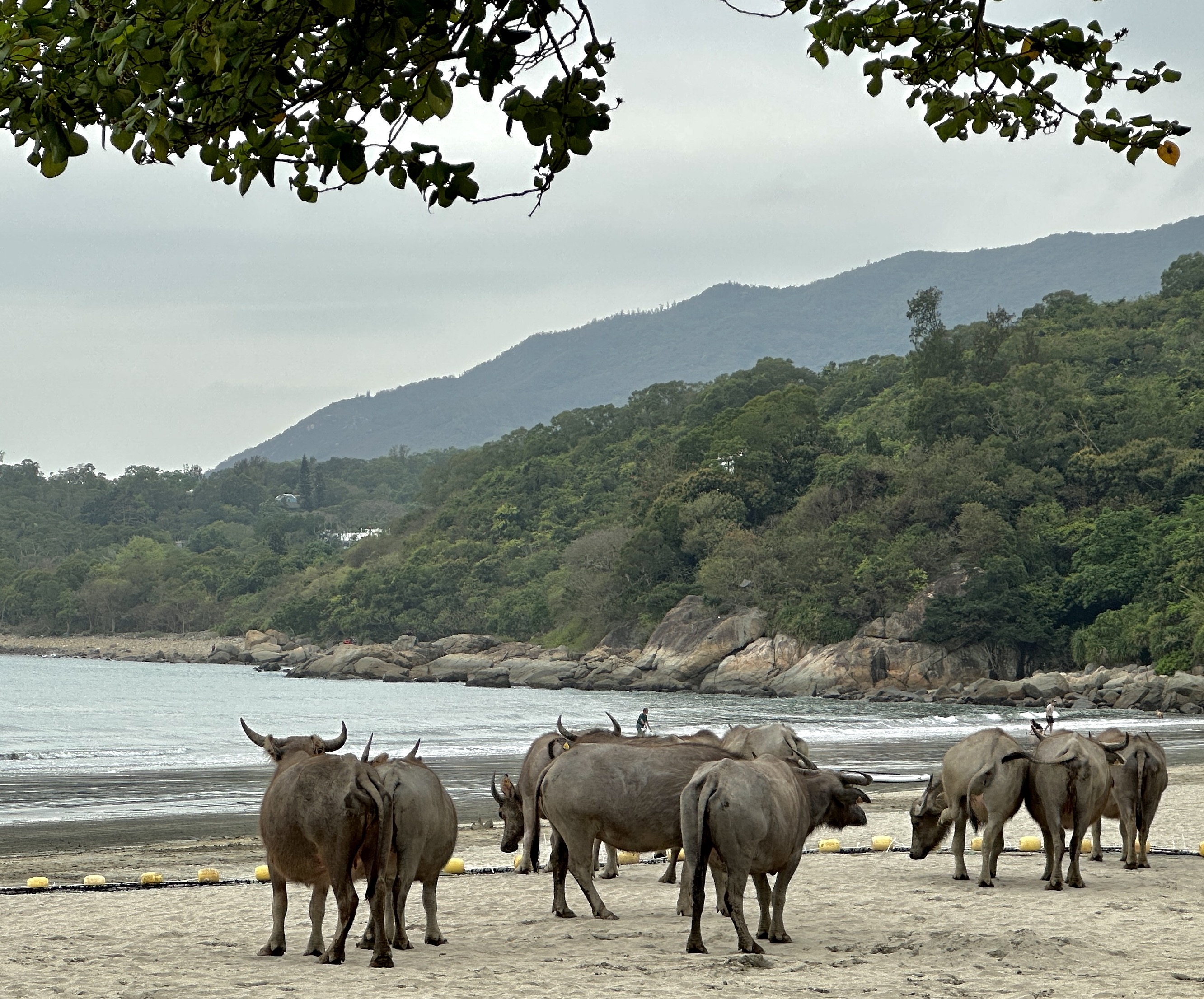 CityU Buffalo Project