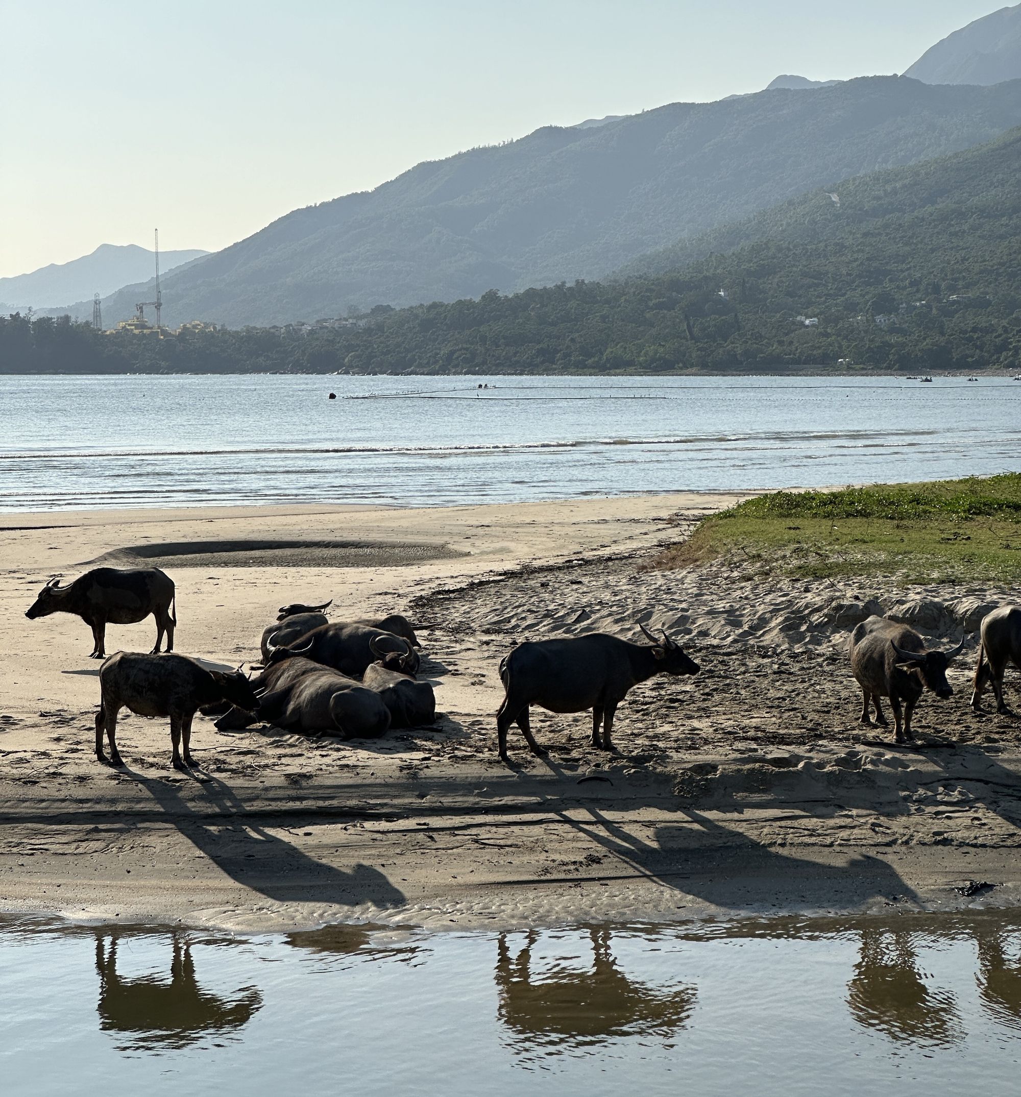 CityU Buffalo Project