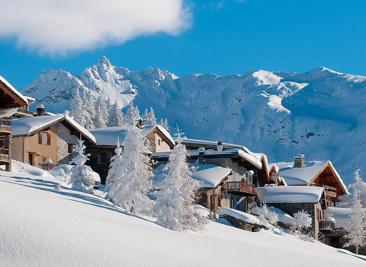 Les Activités du Groupe Sofival