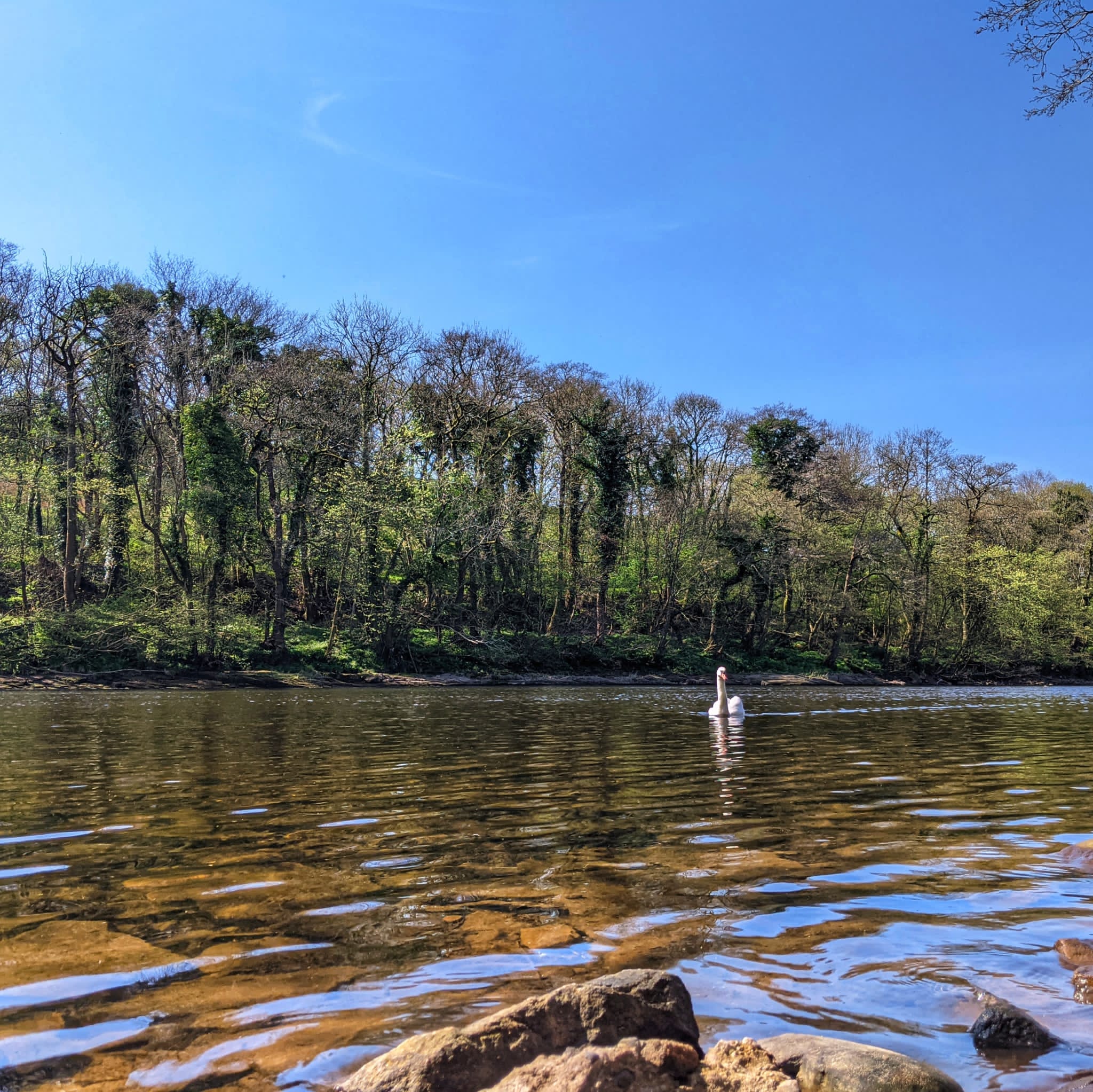 The Present | Industrial History | Halton Mill