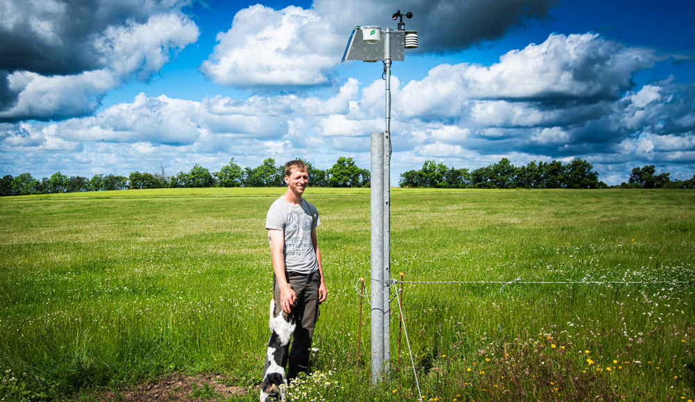 Historical data provides a solid foundation for making decisions | Cordulus - Rethinking Weather