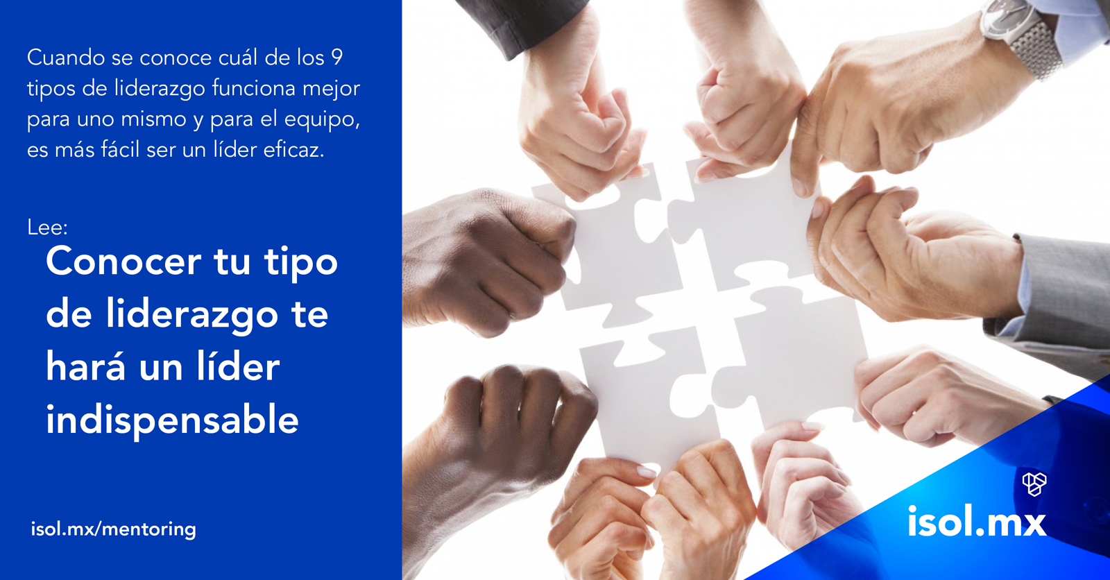 Conocer tu tipo de liderazgo te hará un líder indispensable