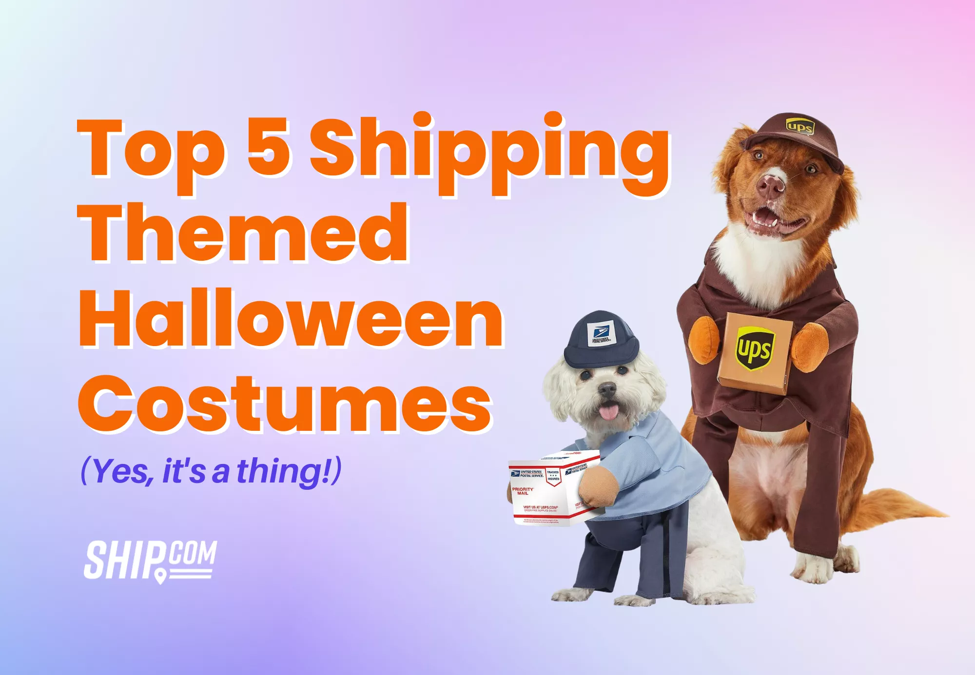 Top 5 Shipping Themed Halloween Costumes