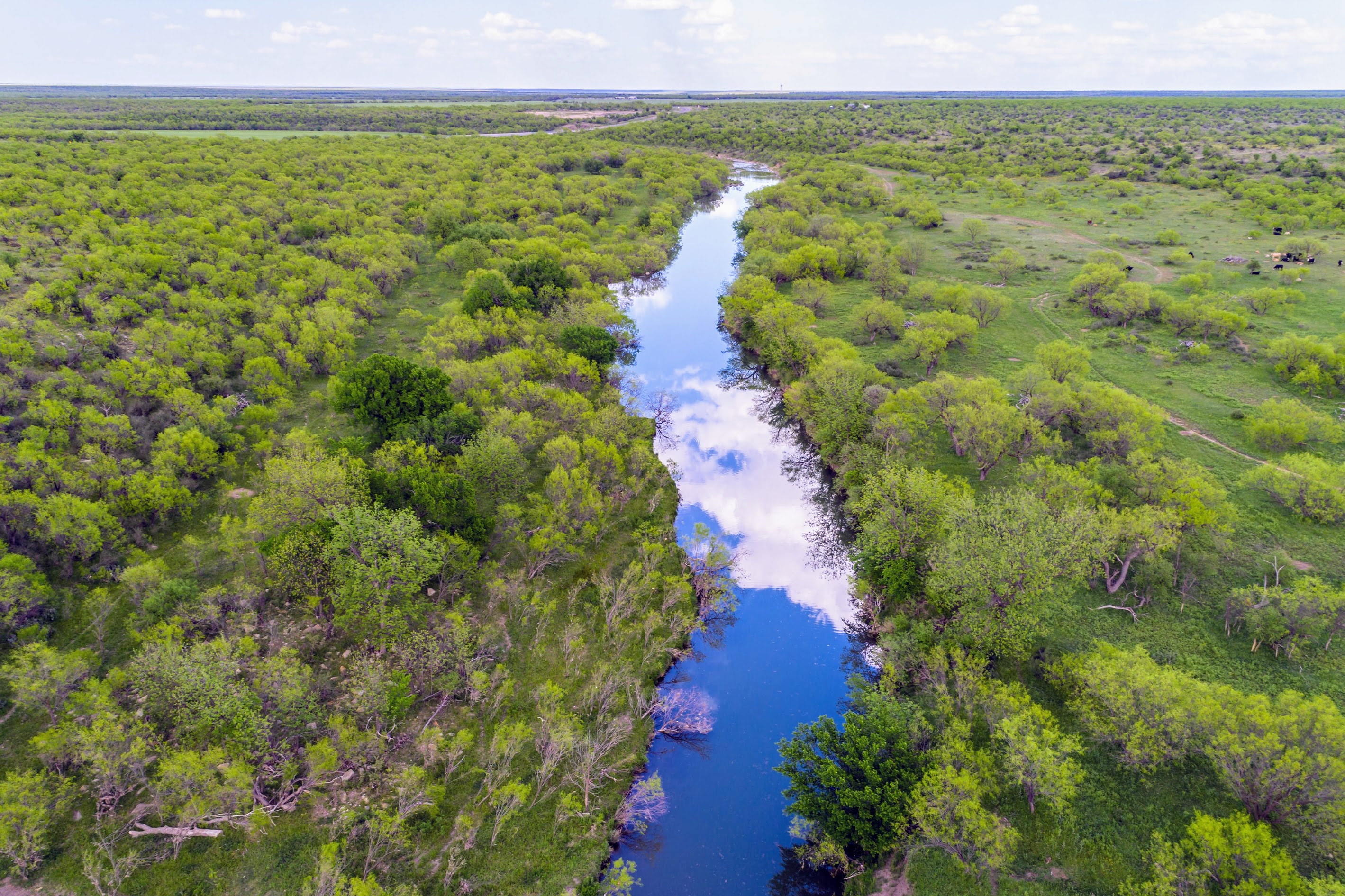 Concho County | KC Ranch | SW of Paint Rock | Texas Ranches For Sale