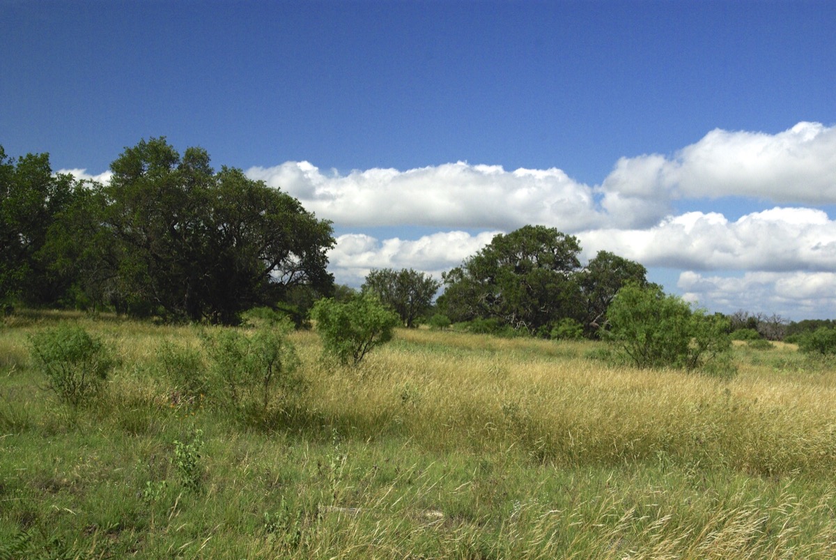 Sutton County | Bond Ranch | | Texas Ranches For Sale