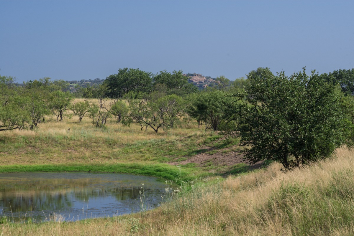 Mason County | Quail Ridge Ranch | E of Mason | Texas Ranches For Sale