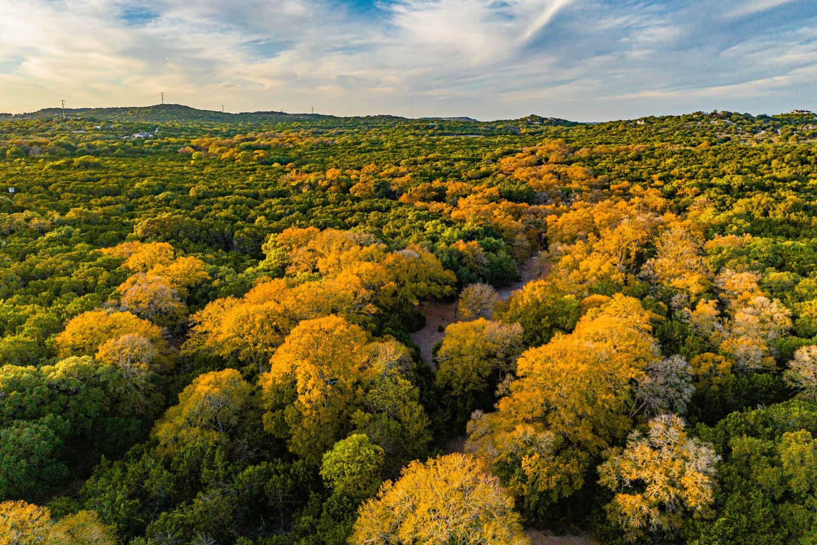 Kendall County | Cedar Elm Ranch | W of Boerne | Texas Ranches For Sale