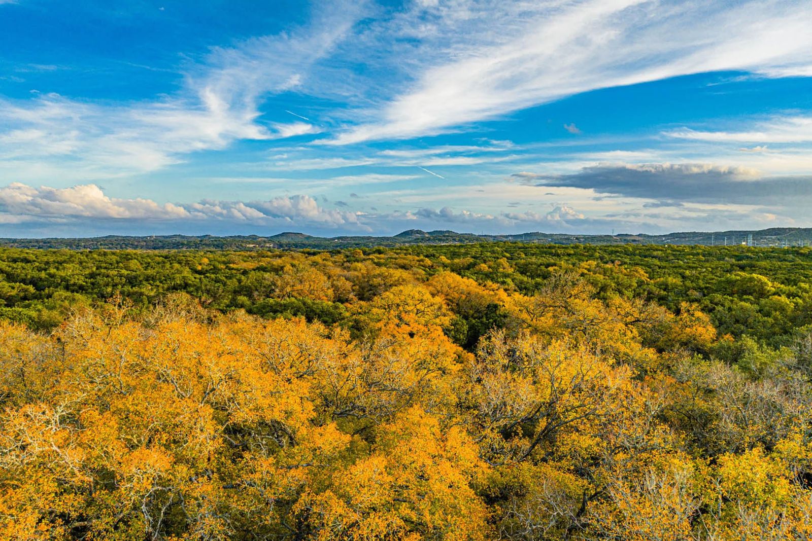 Kendall County | Cedar Elm Ranch | W of Boerne | Texas Ranches For Sale