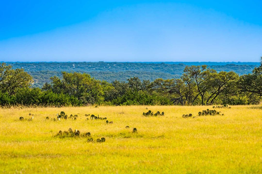 Sutton County | Dragoo Draw Ranch | W of Junction | Texas Ranches For Sale