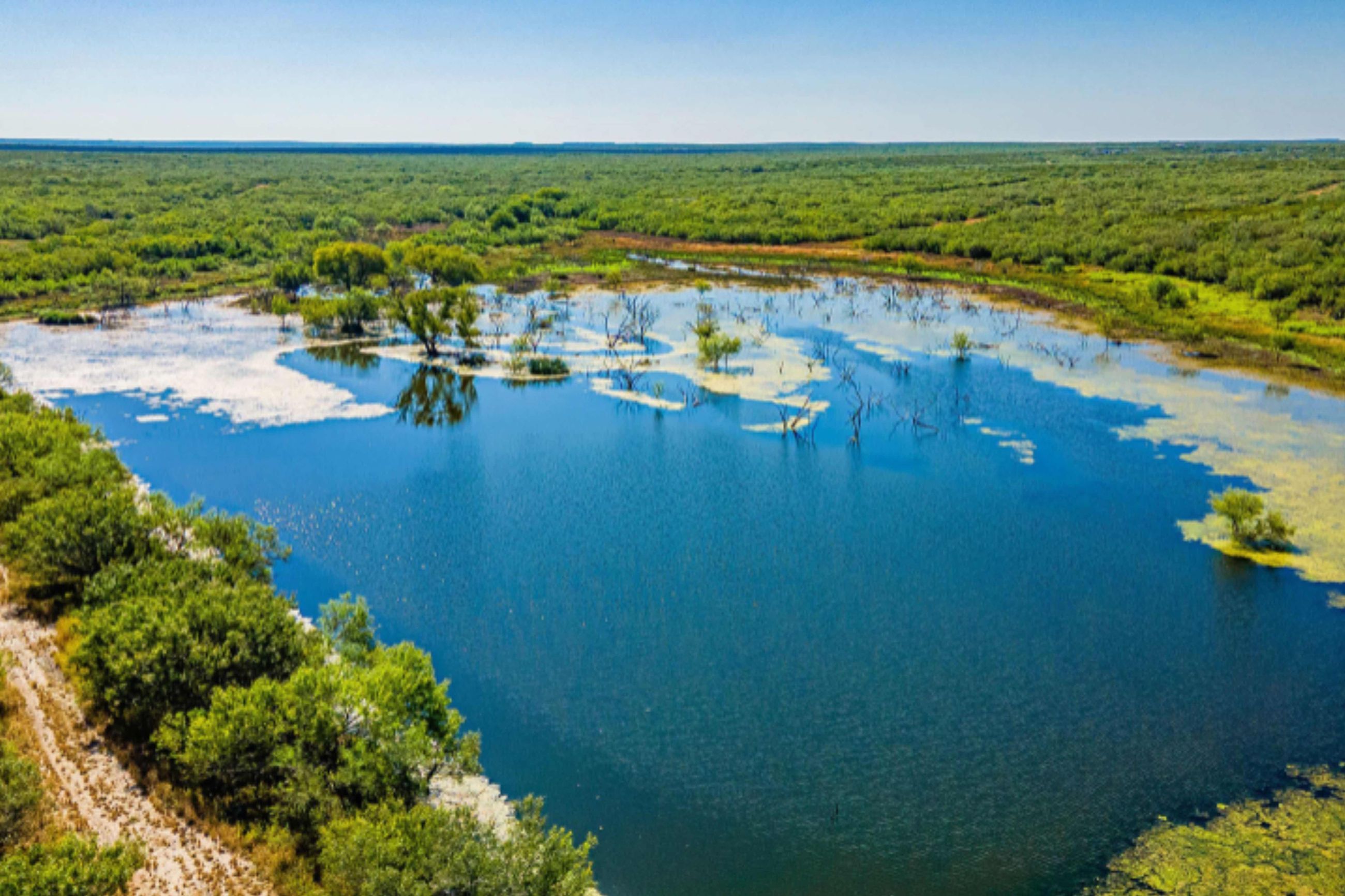 Selling Quality Ranches Throughout Texas | Texas Ranches For Sale