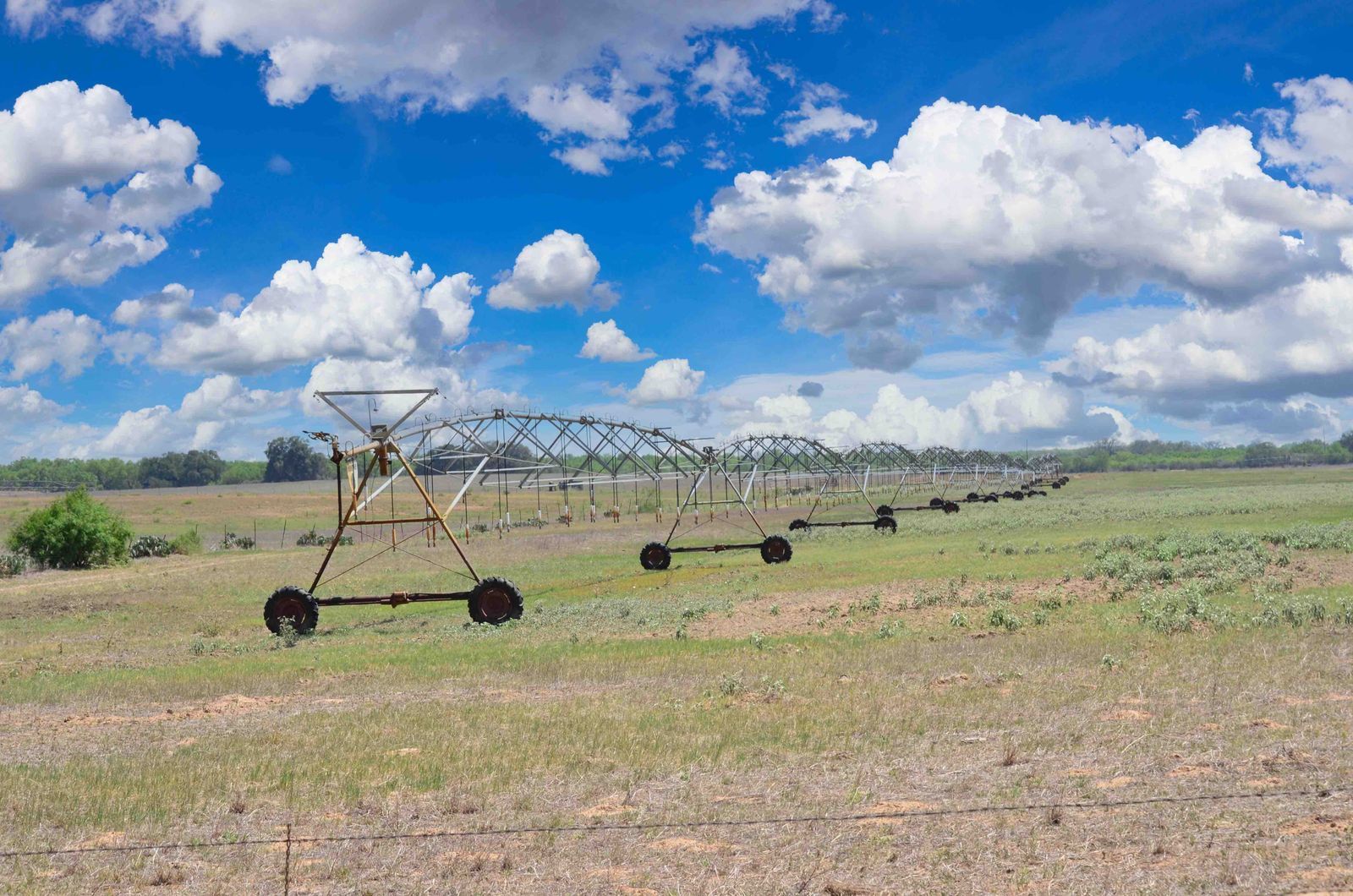 Selling Quality Ranches Throughout Texas | Texas Ranches For Sale