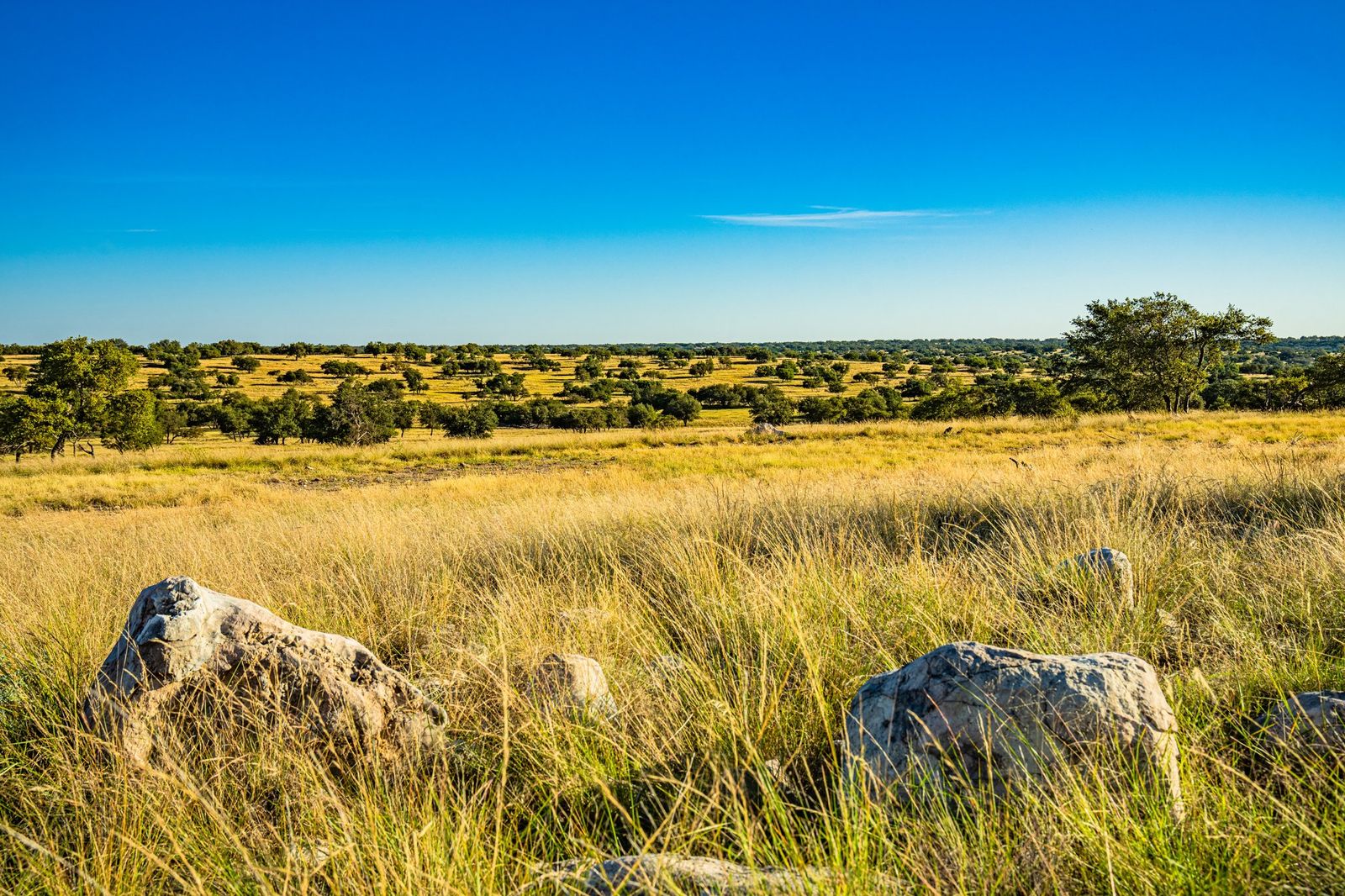 Hill Country Ranches For Sale | Texas Ranches For Sale