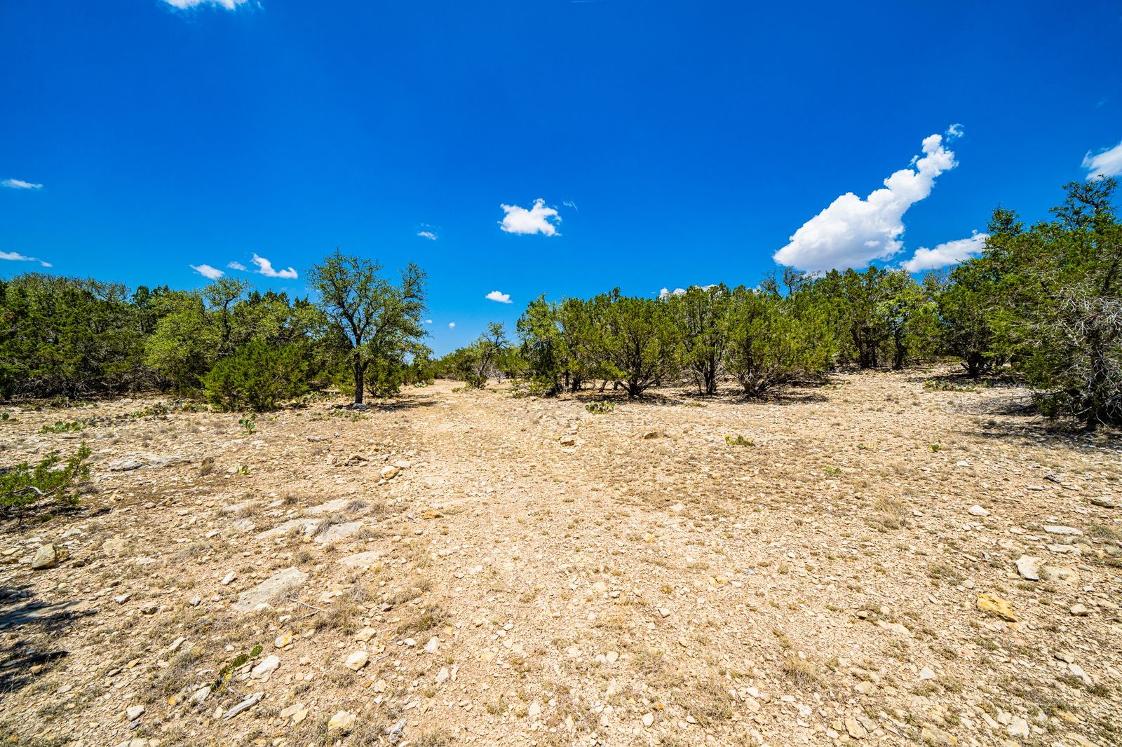 Sutton County | Bluff Springs Ranch | W of Junction | Texas Ranches For ...