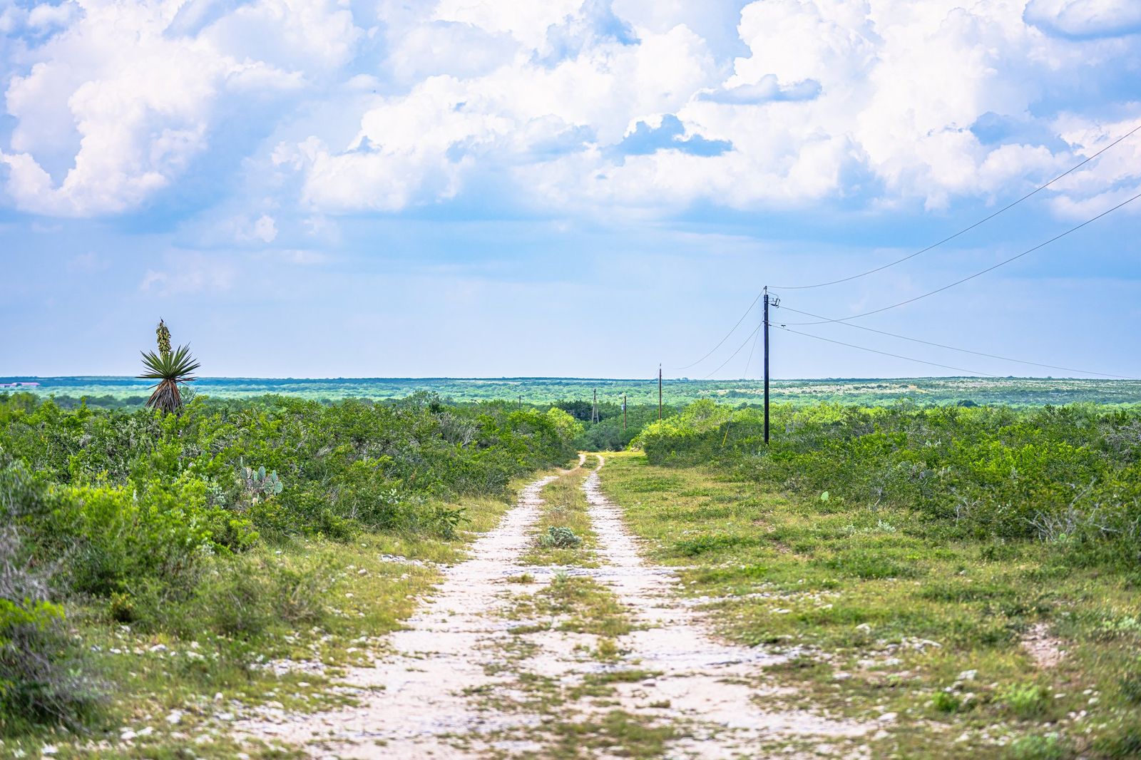 Duval County | S Ranch | E of Freer | Texas Ranches For Sale