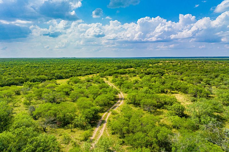 Duval County | S Ranch | E of Freer | Texas Ranches For Sale