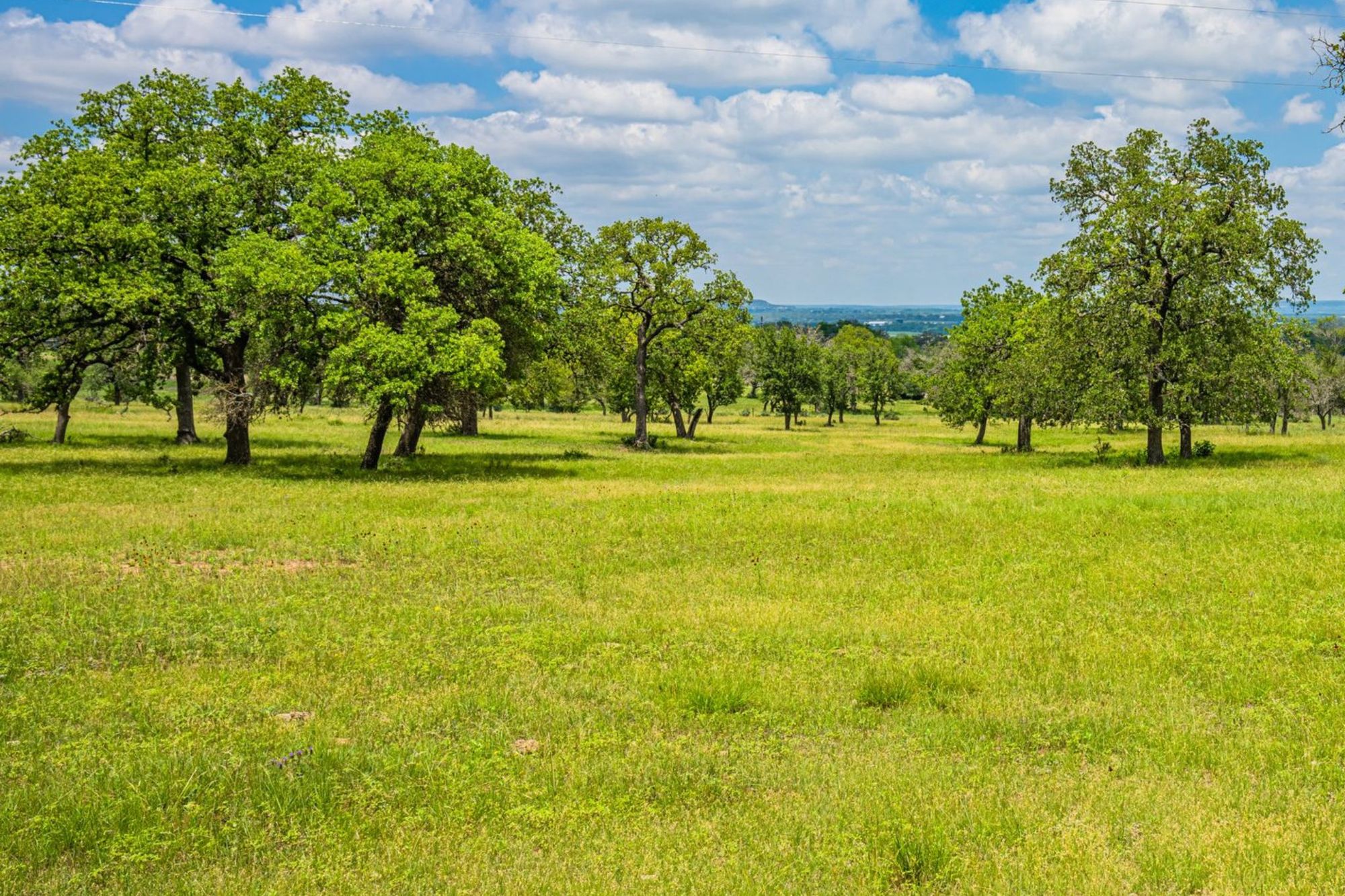 Hunting Ranches for Sale | Texas Ranches For Sale