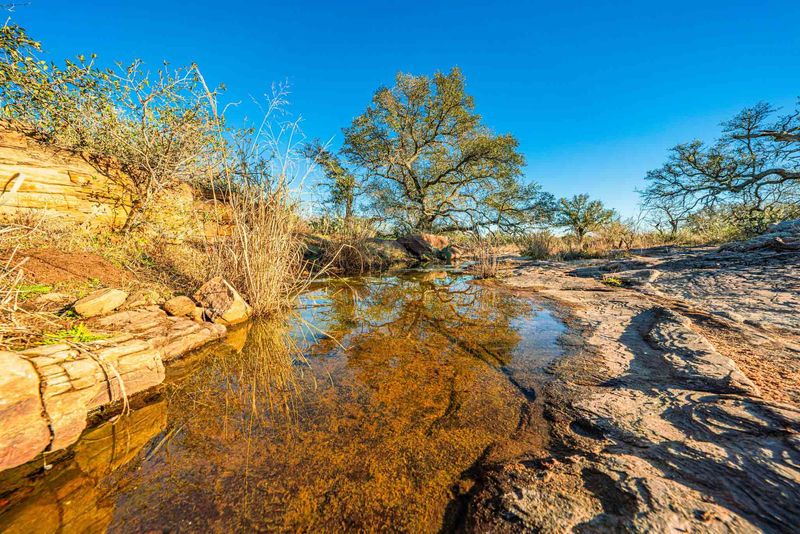 Hunting Ranches for Sale | Texas Ranches For Sale