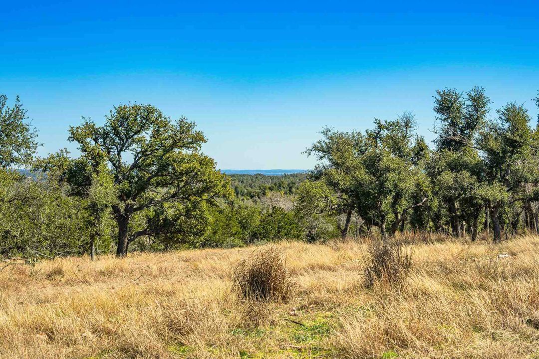 Hunting Ranches for Sale | Texas Ranches For Sale