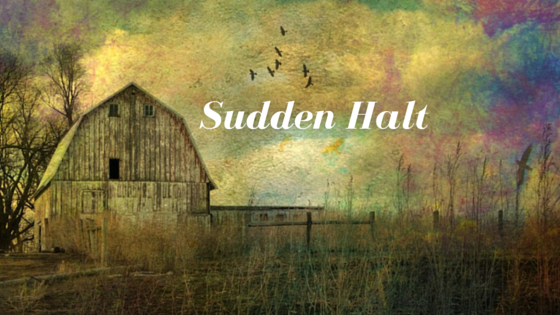 Sudden Halt