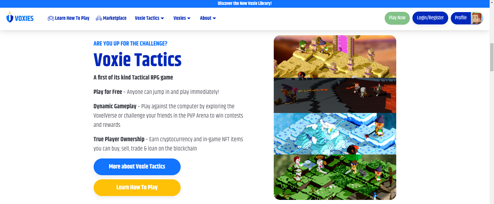 What is Voxies (VOXEL)?