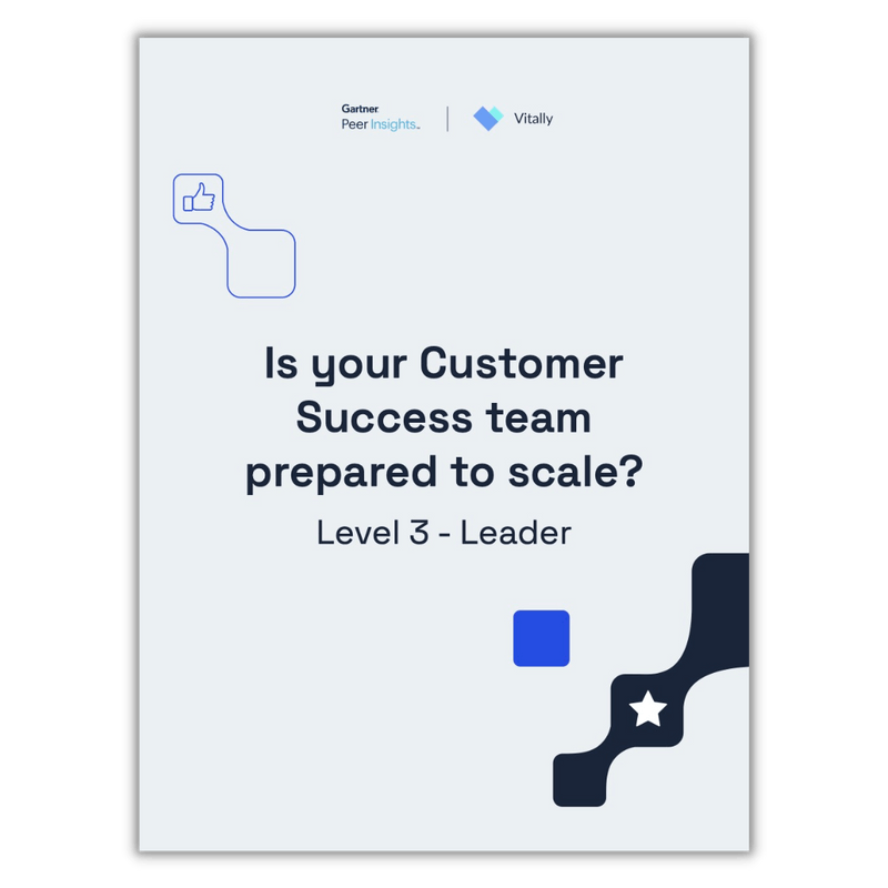 Leader Organization: Customer Success Maturity Assessment