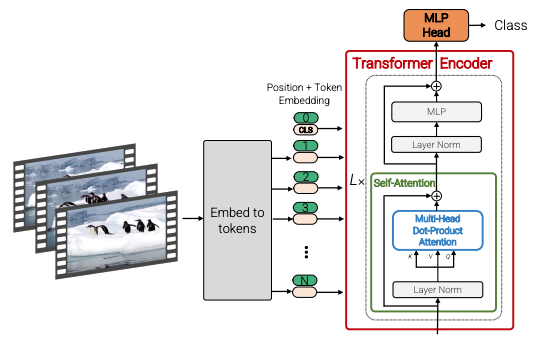 The Multimodal Evolution of Vector Embeddings