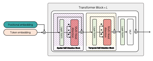 The Multimodal Evolution of Vector Embeddings