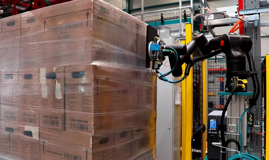 What is a Palletizer? (How They Work, Types & Uses)