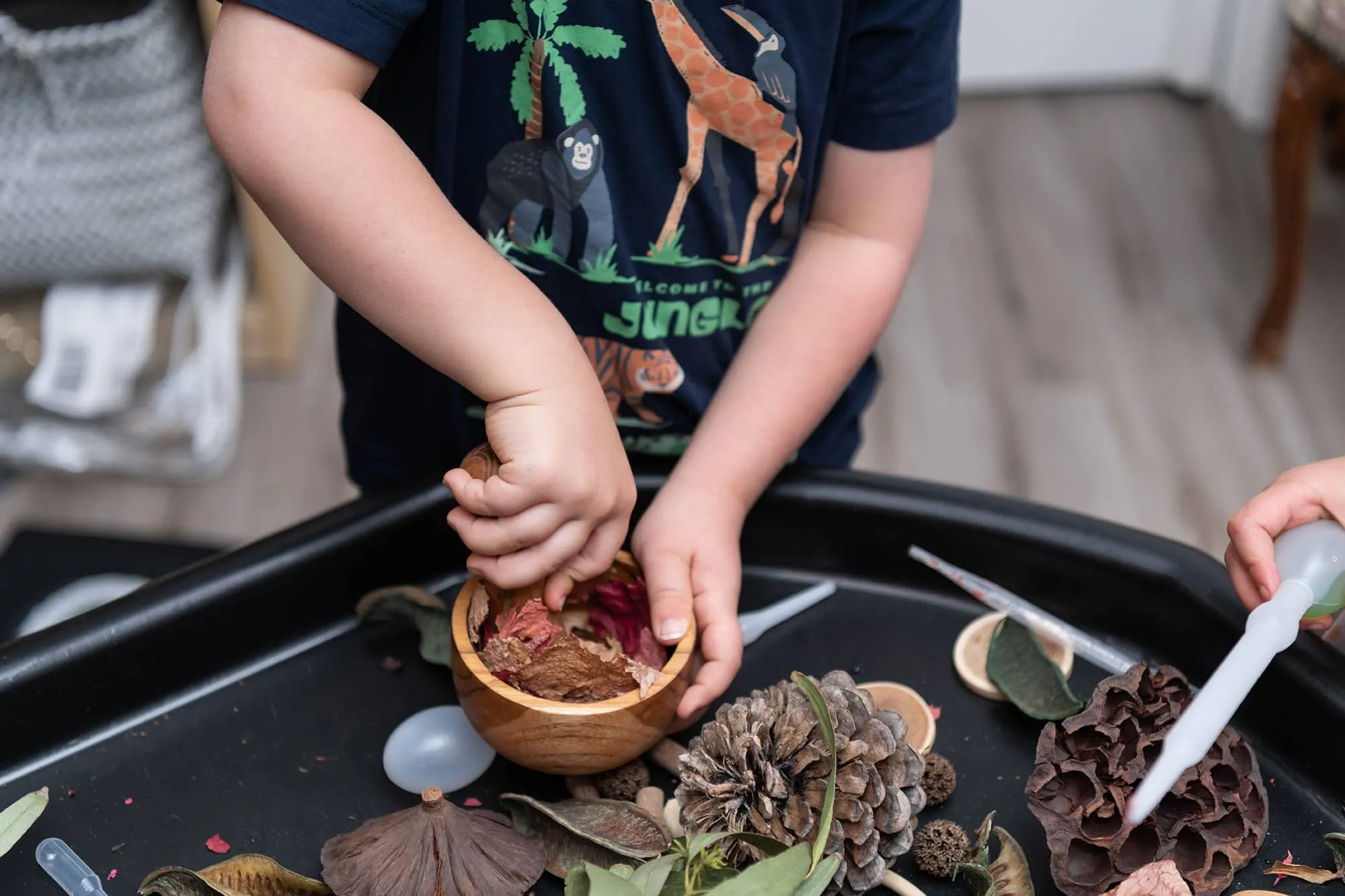 Beyond Early Learning | Education in Blackwood & Mt Gambier, SA