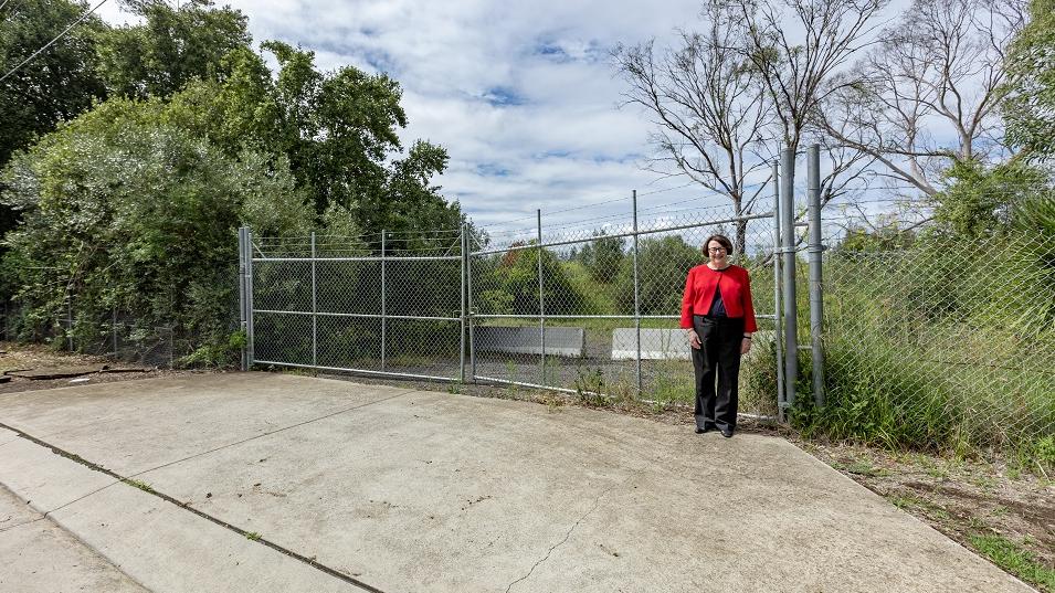 New Greystanes sports facility gets $53m approval – Real Sydney News