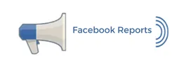Facebook Report Example [PDF] | ReportGarden