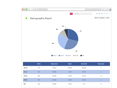 Facebook Ads Reporting Tool | Best Facebook Reporting Software