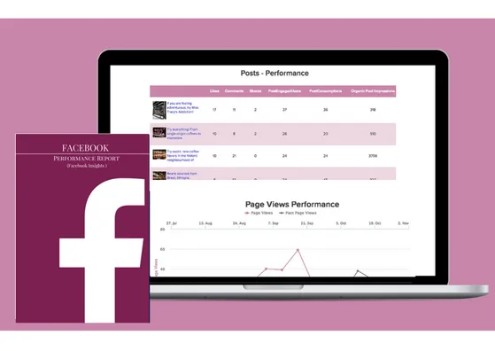 Facebook Insights Reporting | ReportGarden