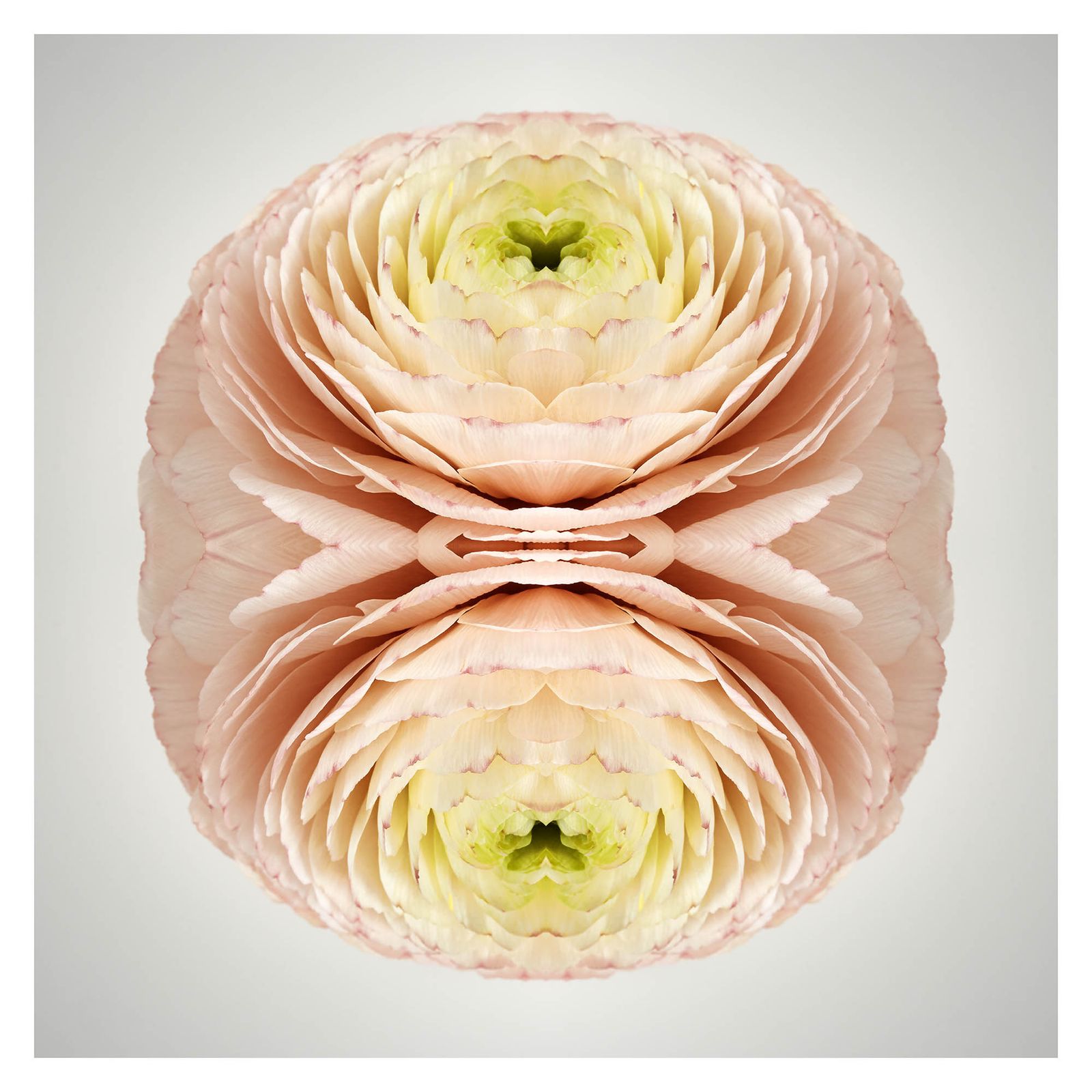 Brooklyn Editions – Museum-Quality Fine Art Printing Studio in NYC